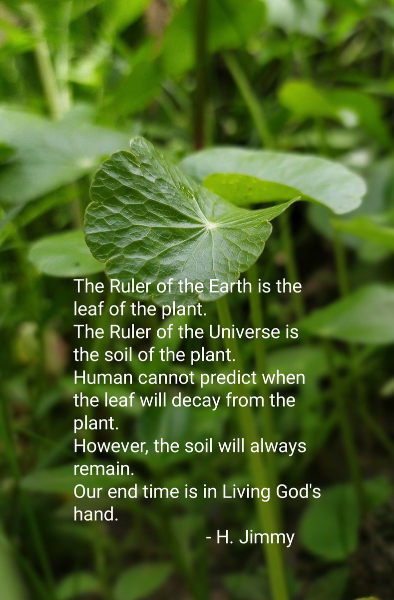 Adventist Manipur (@AdventistManipr) | Twitter