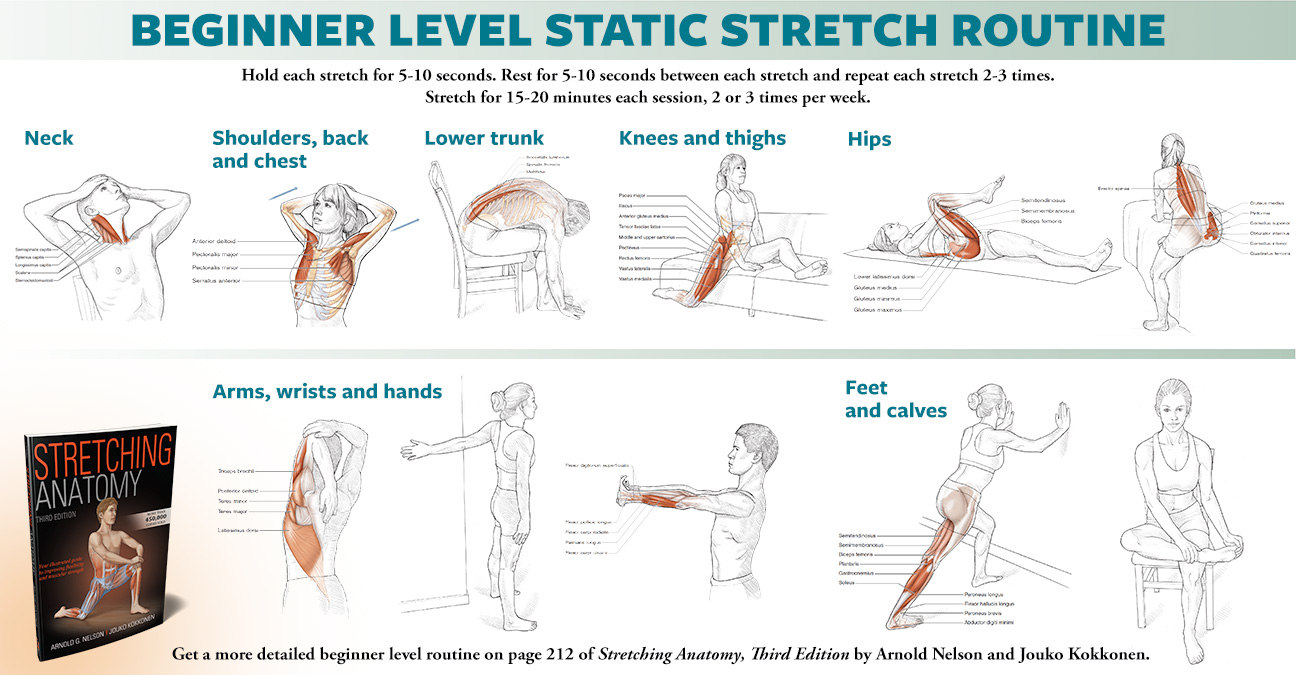 Static Stretching Chart