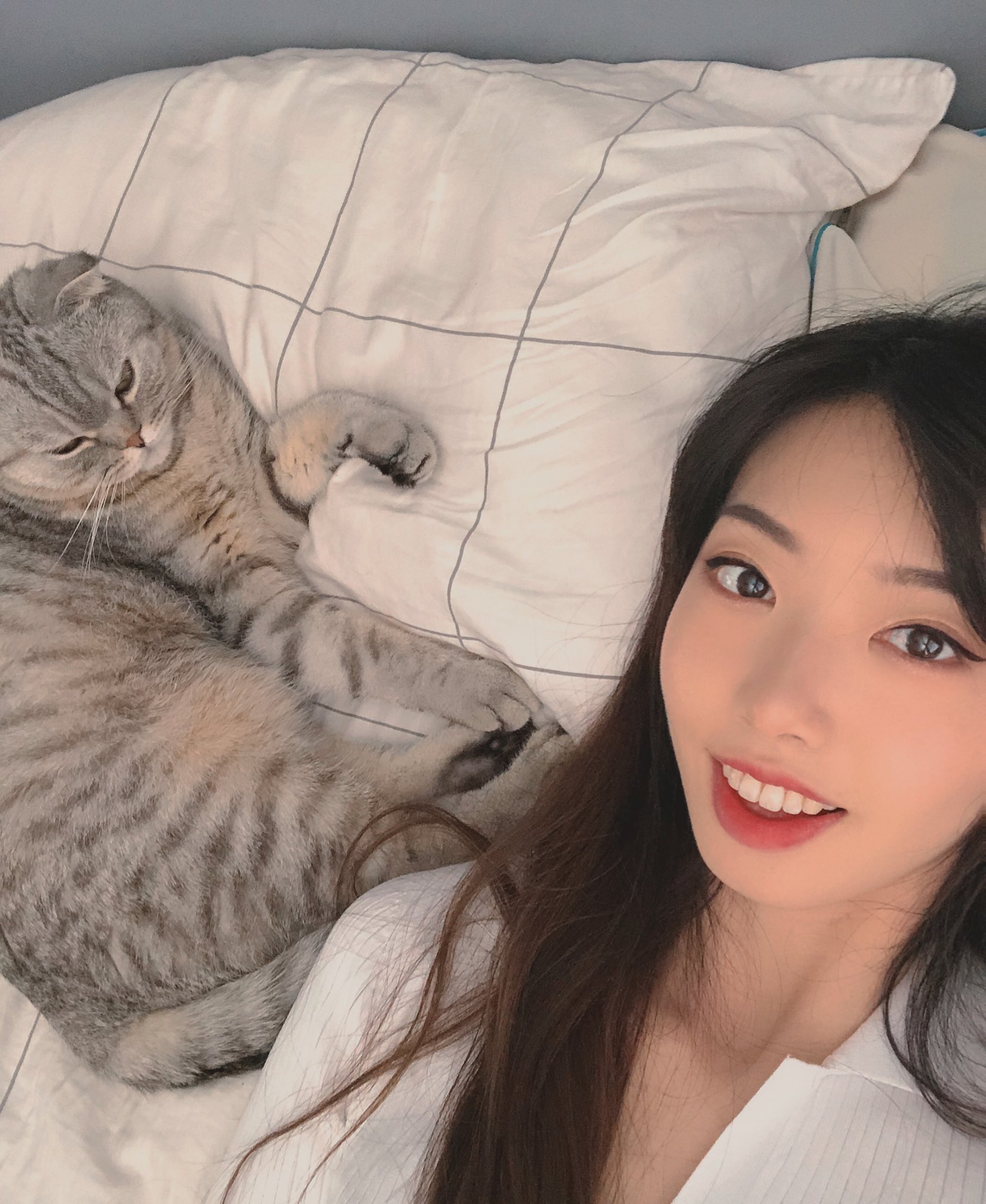 yoon on Twitter: "CAT https://t.co/1BDWyVdfrx" / Twitter