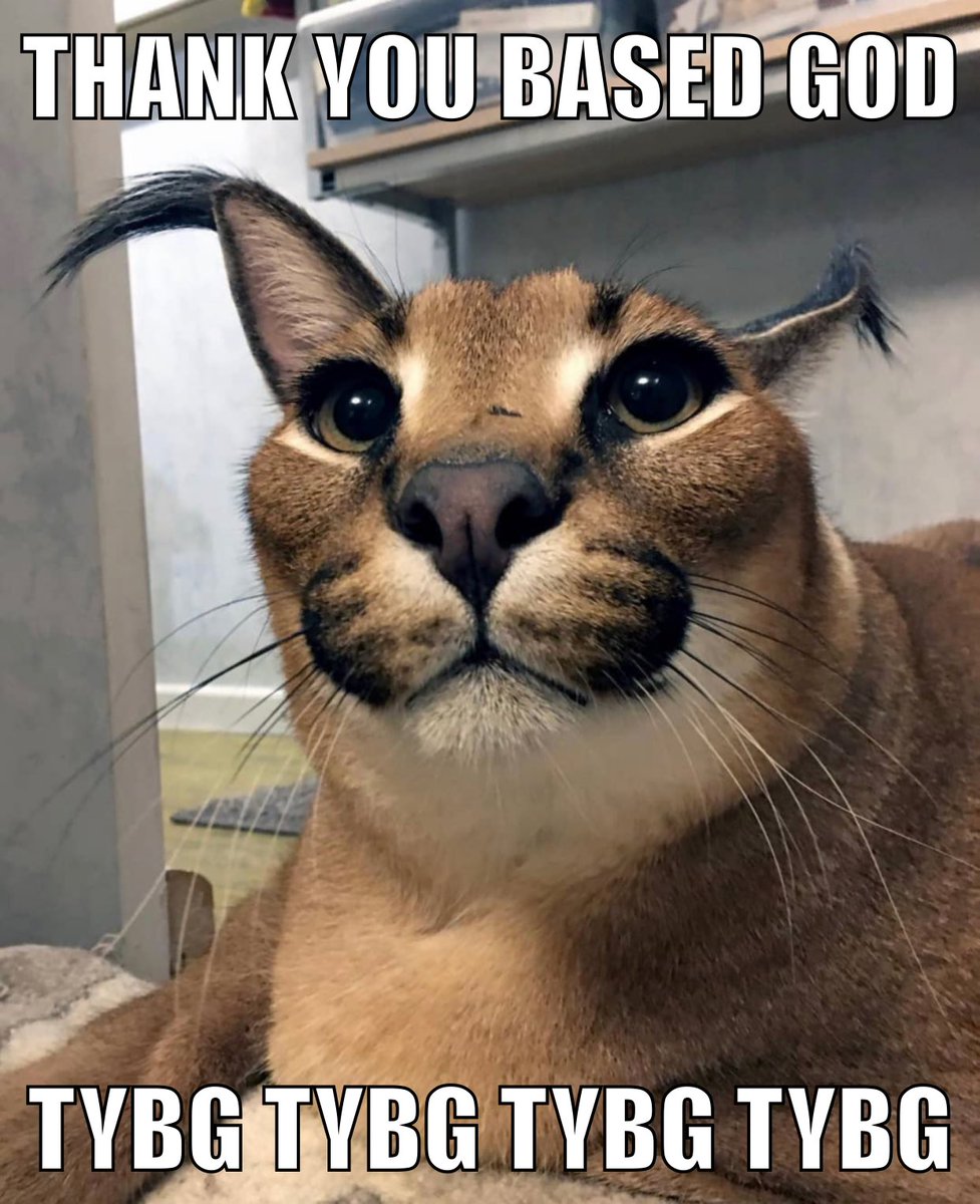 Thank You Based God Meme