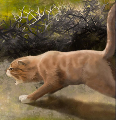 Warrior Cats Cherrykit