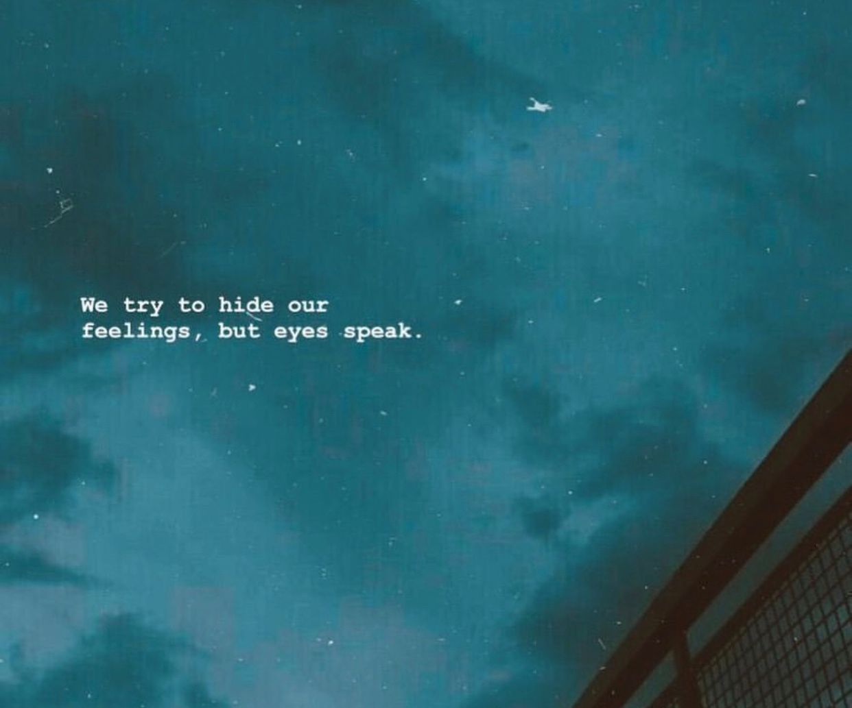 My Eyes Speak Quotes See Your World Through My Eyes: A Universe So