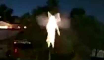 The Real Tooth Fairy Caught On Tape