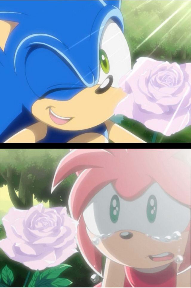 Shadamy Sonic X