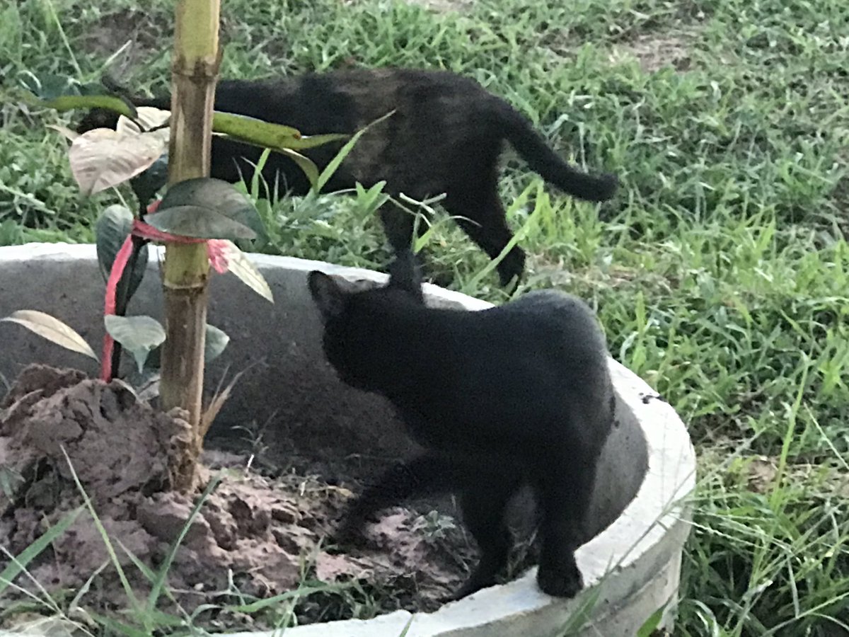 Atit Trakoolsopit (@ATrakoolsopit) | Twitter