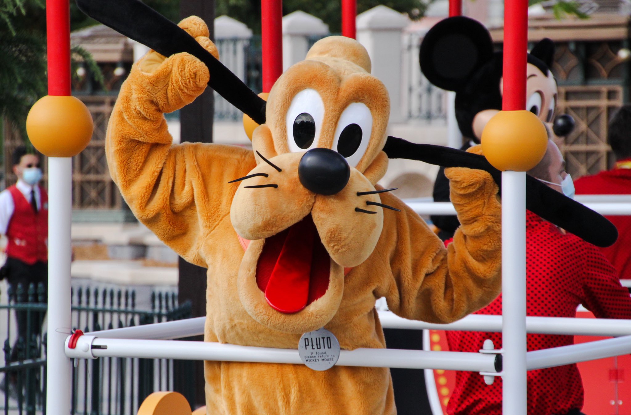 CharactersPhotosBlog on Twitter: "Pluto, if found, please return to Mickey Mouse #pluto #disney ...