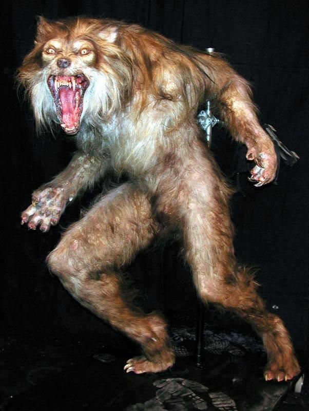 Bad Moon Werewolf Costume