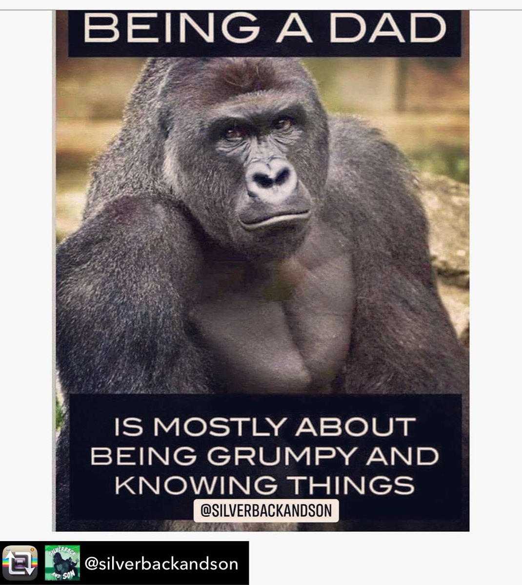 Silverback&Son (@SilverbackSon) | Twitter