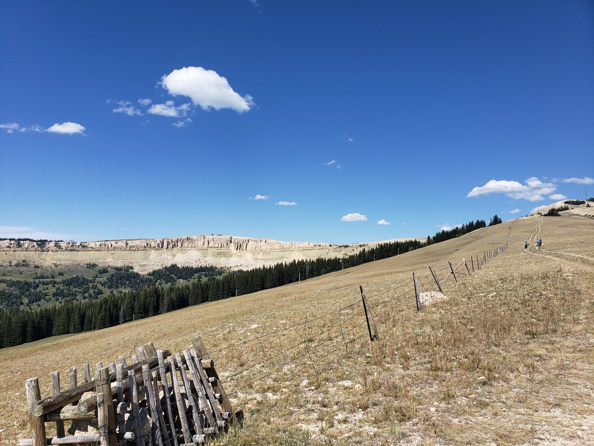 Thread by @DavidTaggart on Thread Reader App – Thread Reader App