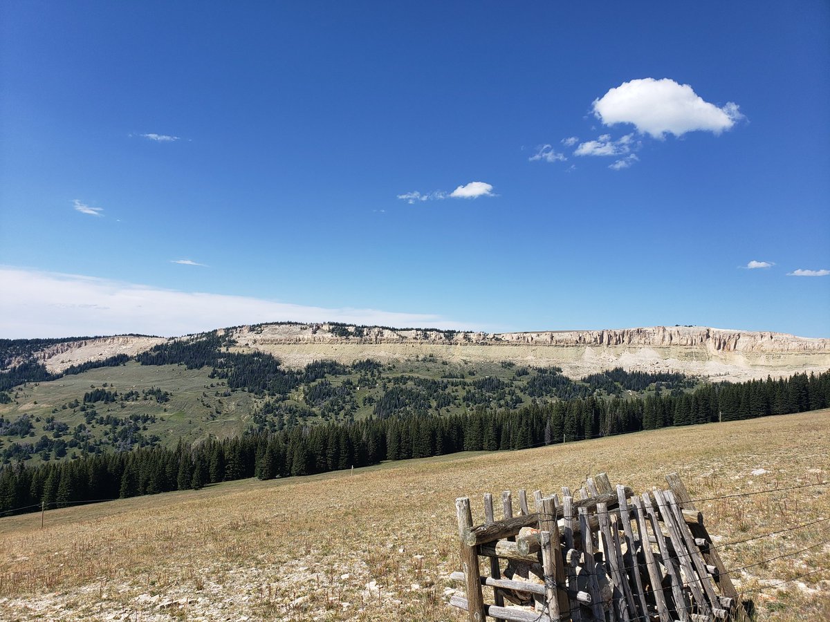 Thread by @DavidTaggart on Thread Reader App – Thread Reader App