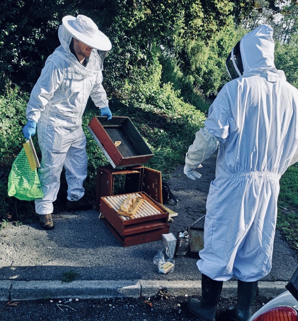 Beechen Cliff School Bath - Secondary School and Sixth Form