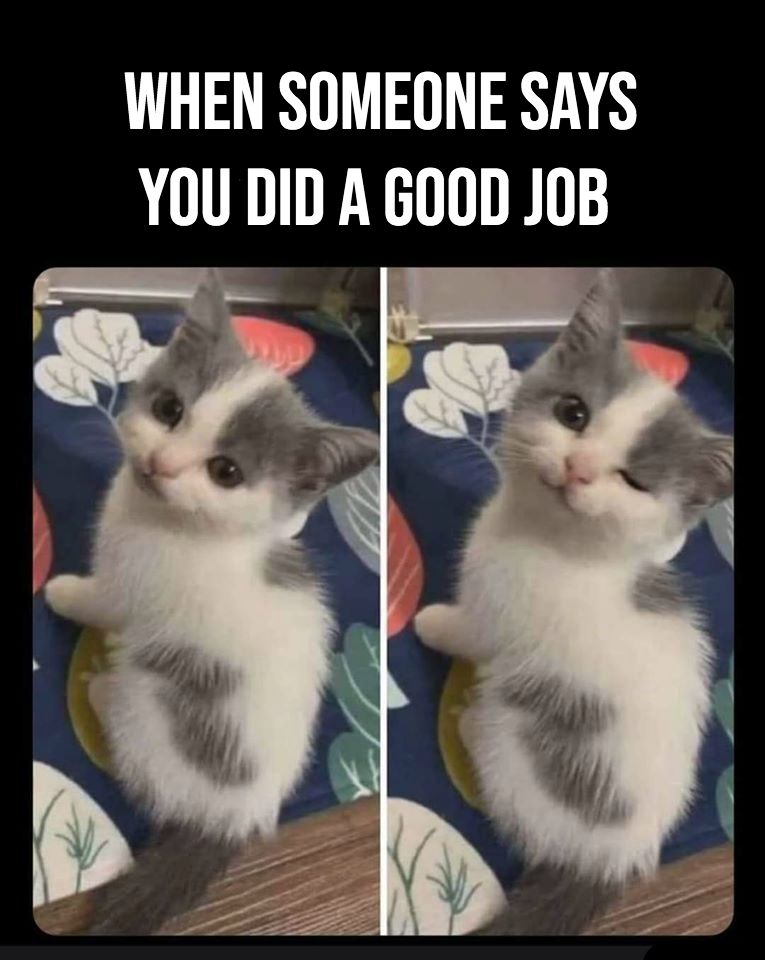 Good Job Cat