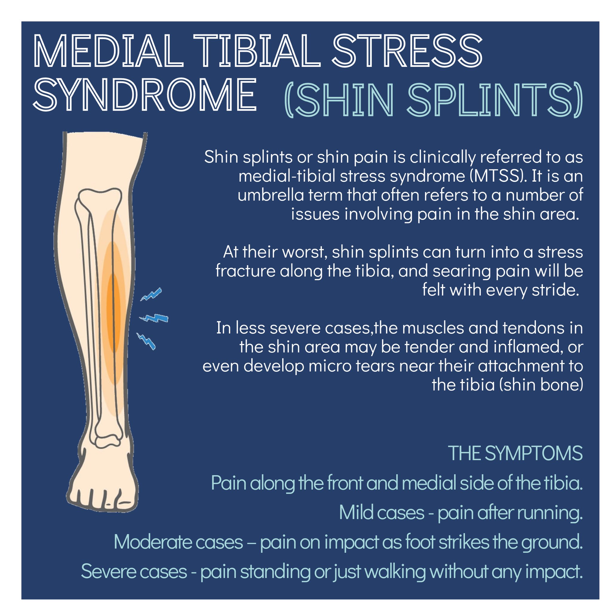 Muscles Medial Tibial Stress Syndrome