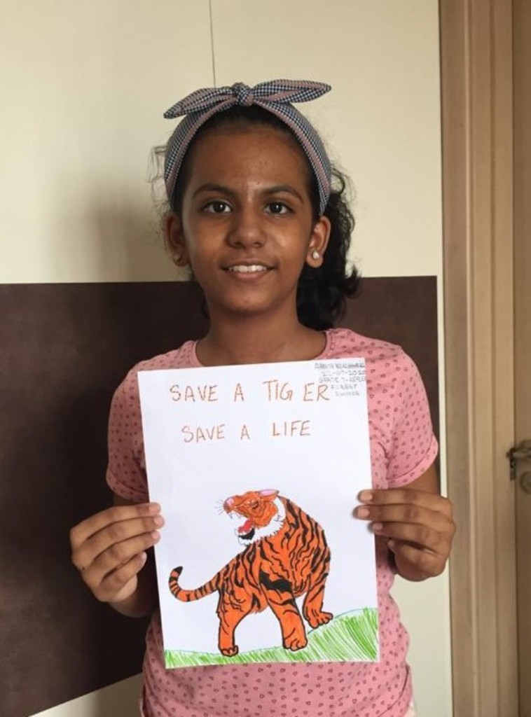 Save The Tigers Slogan
