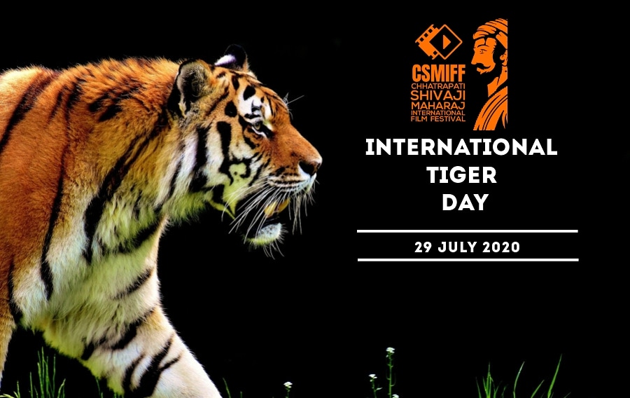 Shivaji Maharaj Tiger