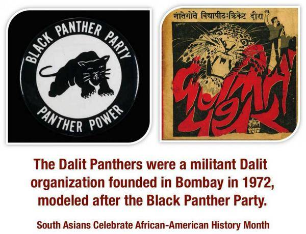 Dalit Panthers Logo