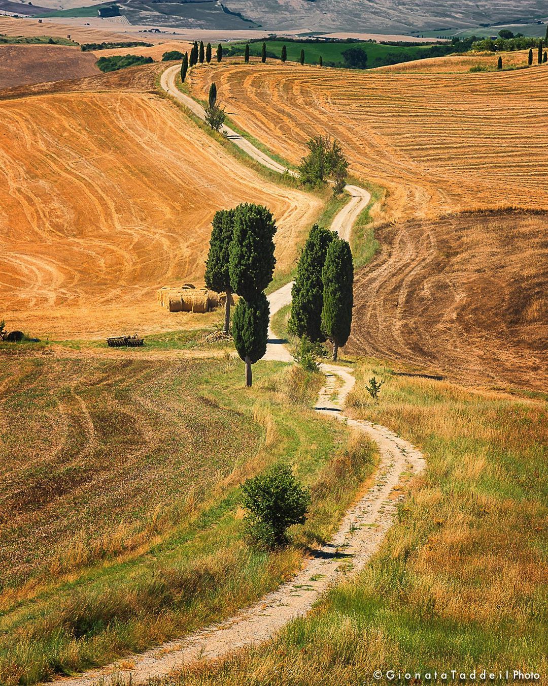 Elysium Field By Zicuta