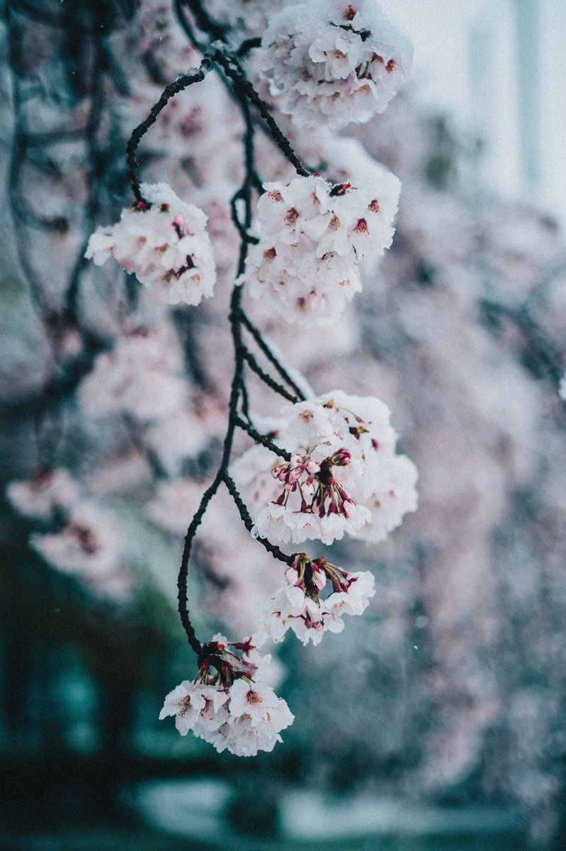 万城目 瞬 | DopeZine, Inc.さんの人気ツイート（新しい順） - ついふぁん！