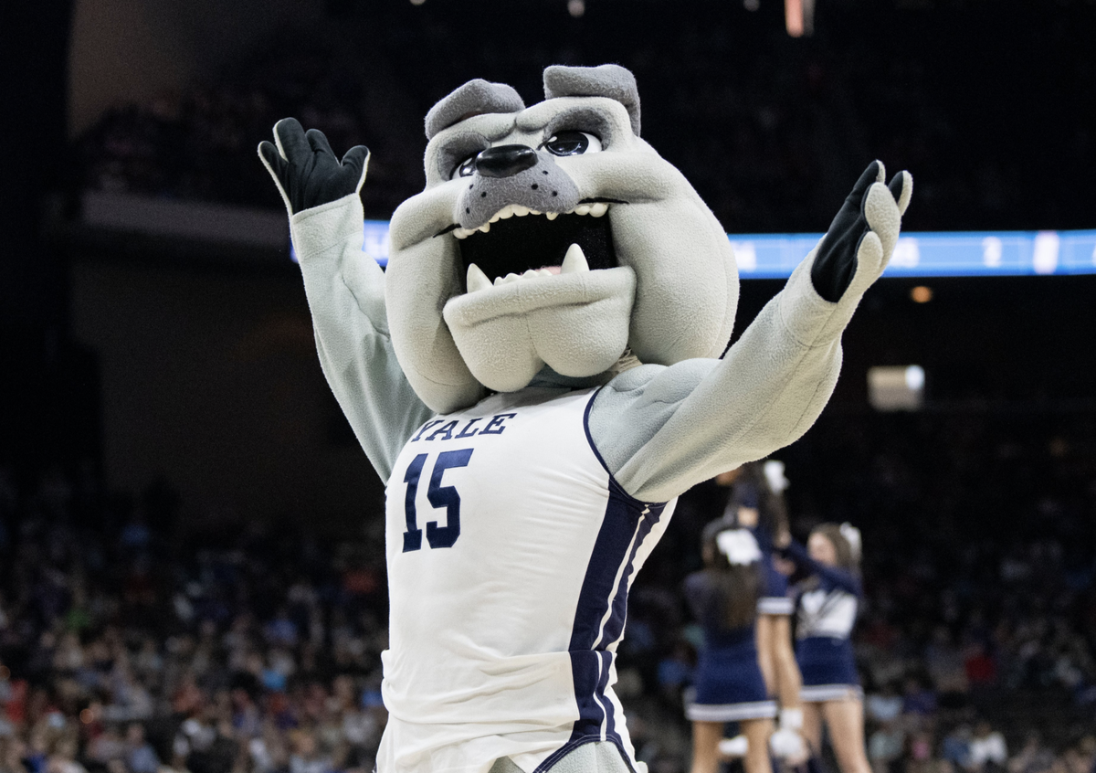 Yale Bulldogs Mascot Admissions Office Hosts Bulldog Days With Fewer