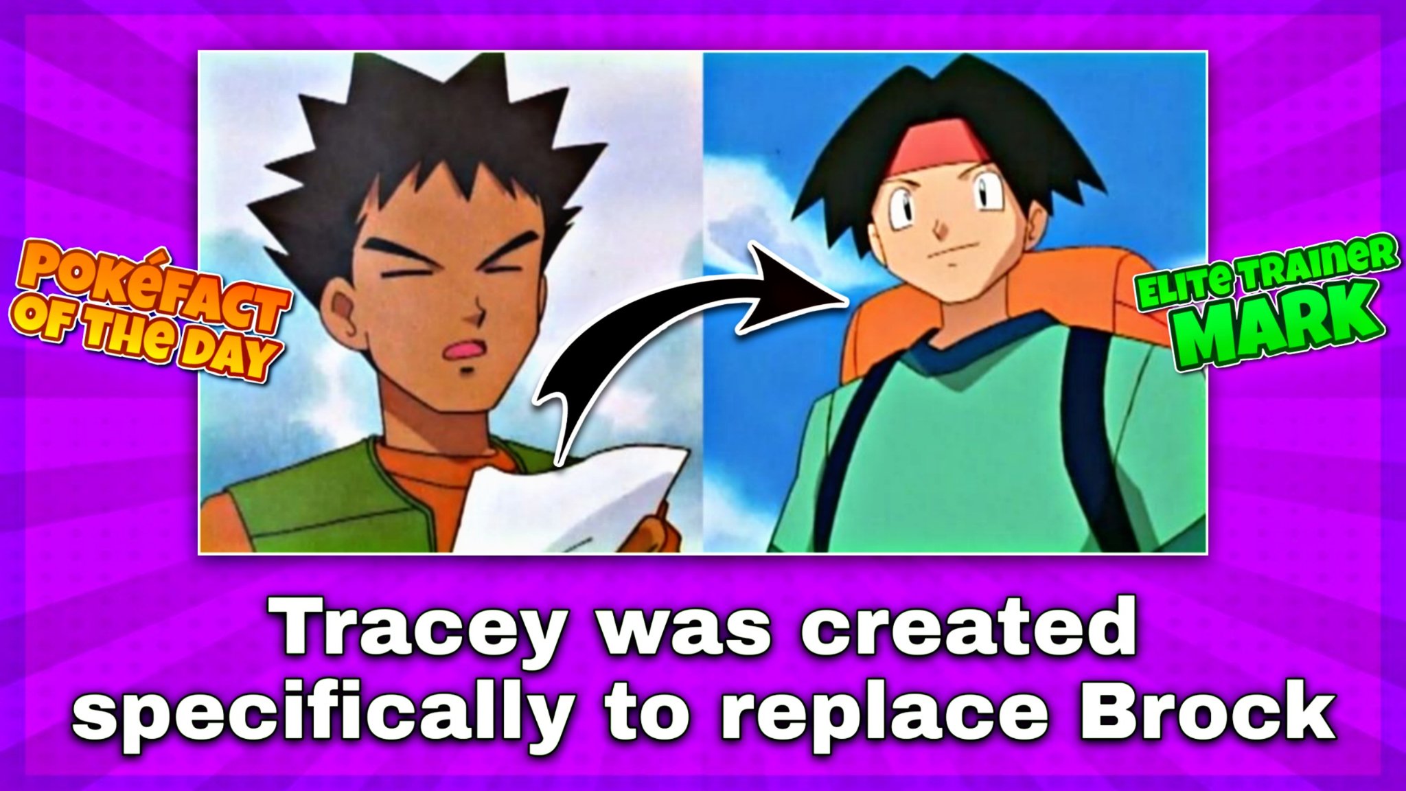 Pokemon Brock And Tracey