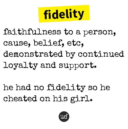 Fidelity Definition