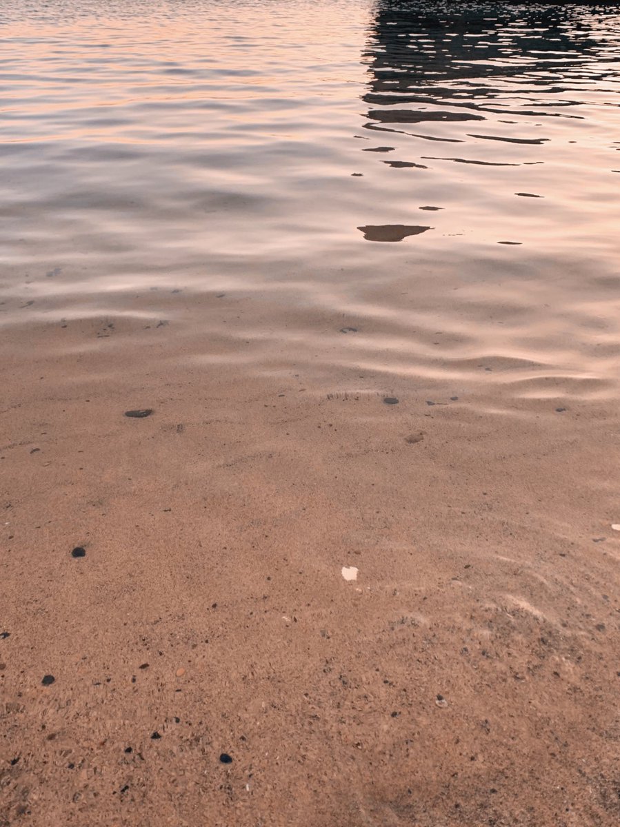 Maria Comi's Instagram, Twitter & Facebook on IDCrawl