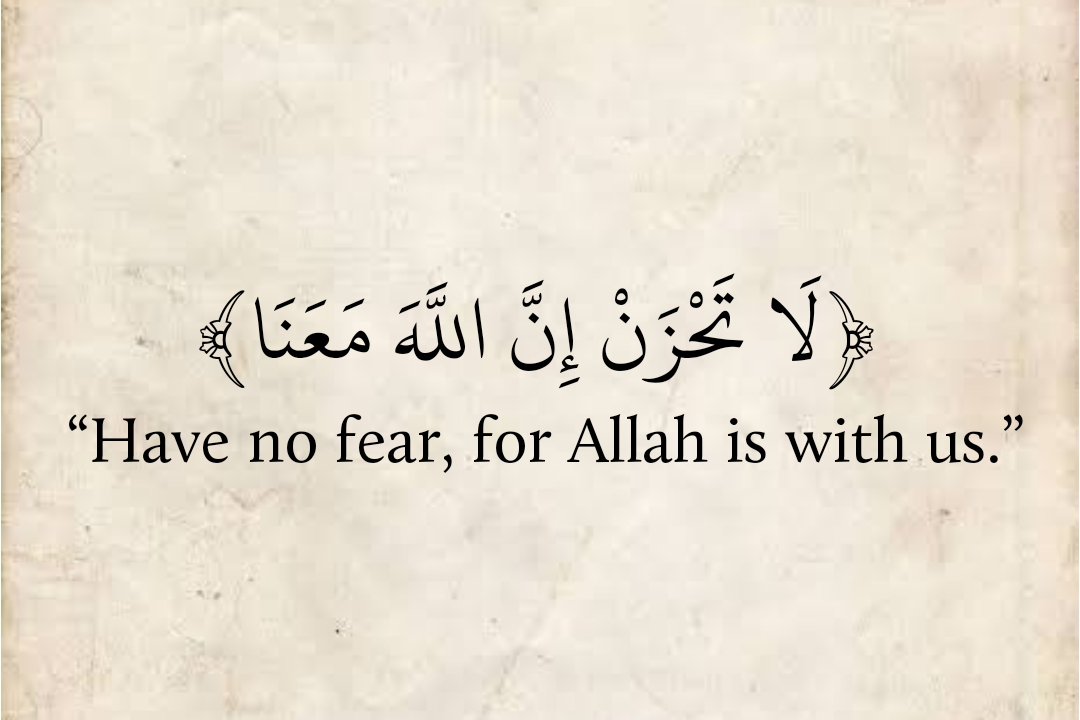 Sameh (@Sameh_Hemeda) | Twitter