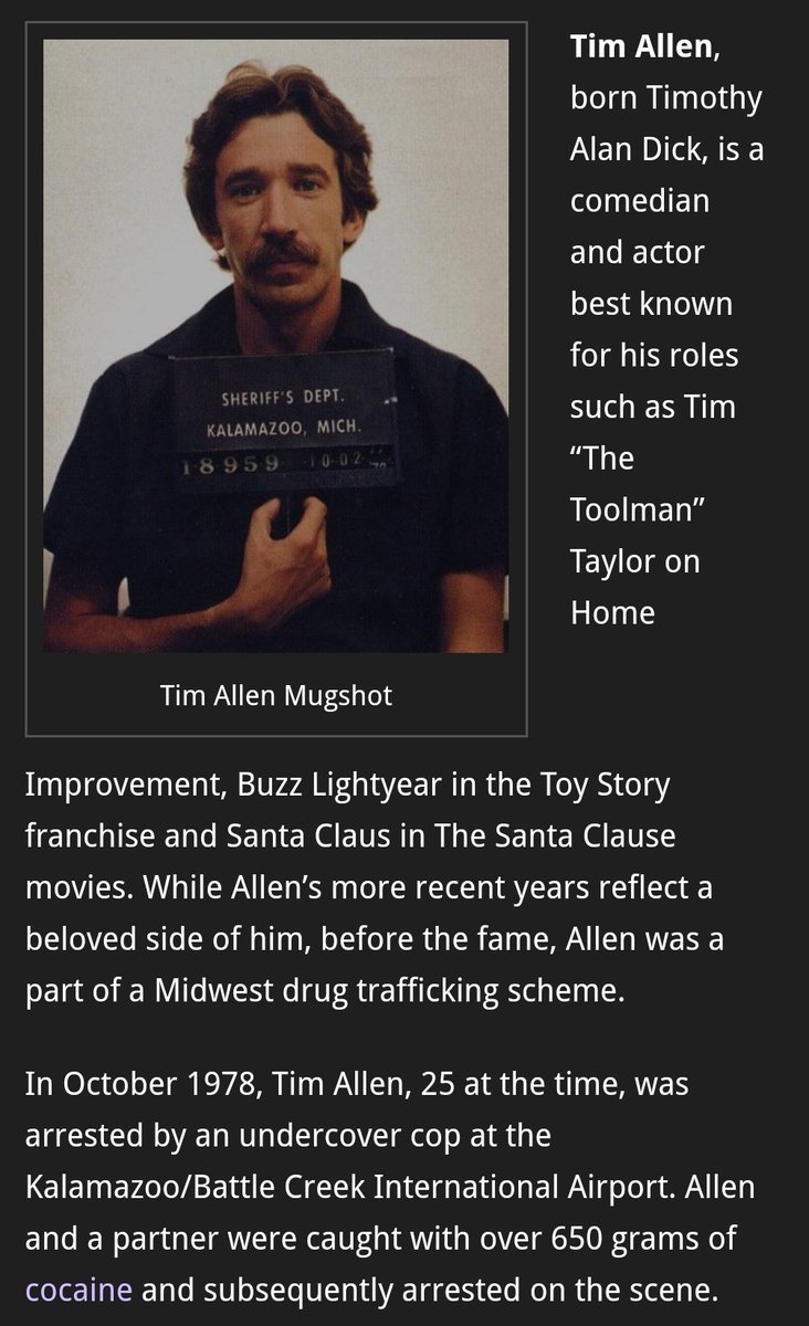 Tim Allen Drug Use