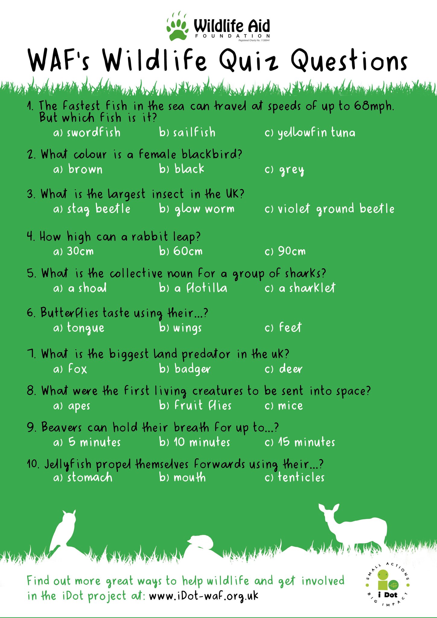 Wildlife Aid on Twitter: "It's pub quiz time, again! Get those thinking ...