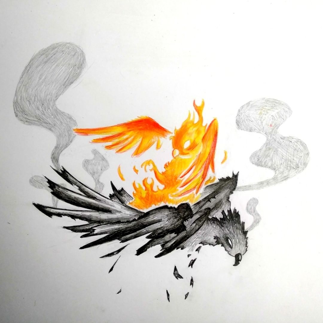 Phoenix Drawing