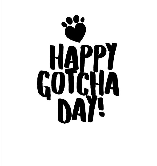 Stampin’ Up! Last Day to Enter for Blog Candy and Happy Gotcha Day ...