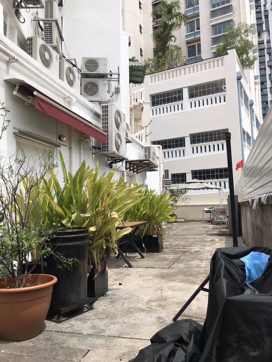 Packy (@Packy_Patrick) | Twitter