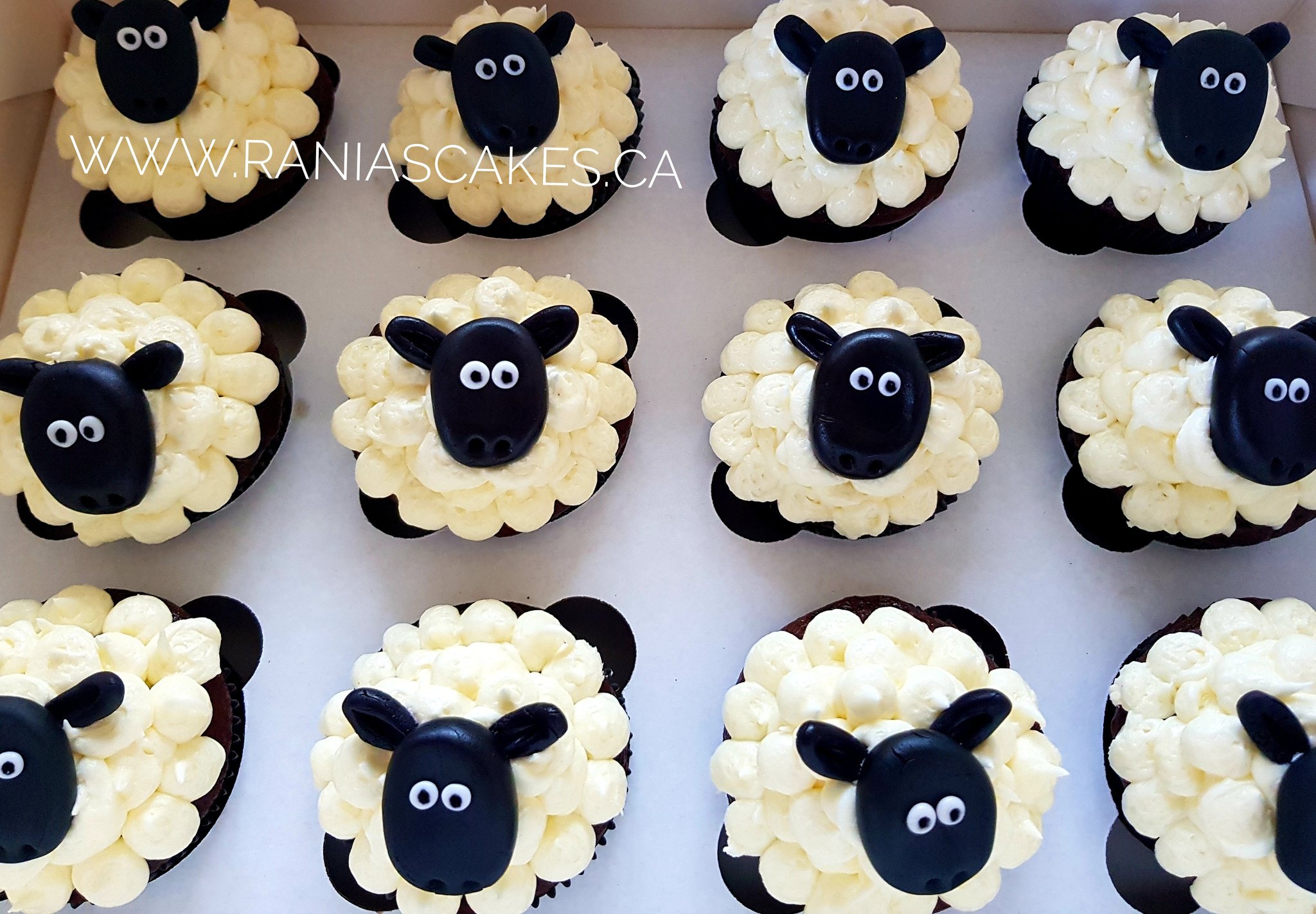 Sheep Cupcakes