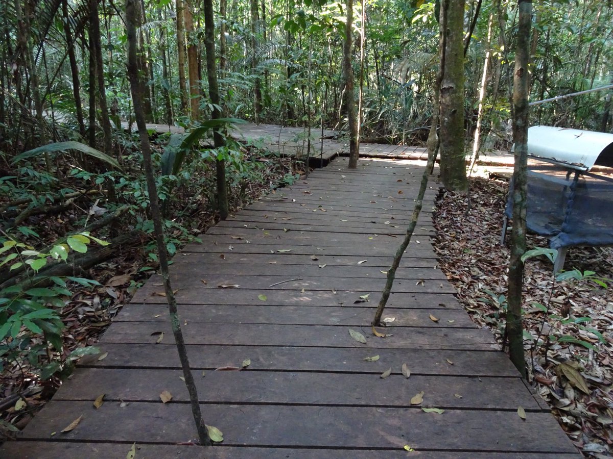 EGU 2020 | ATTO - Amazon Tall Tower Observatory