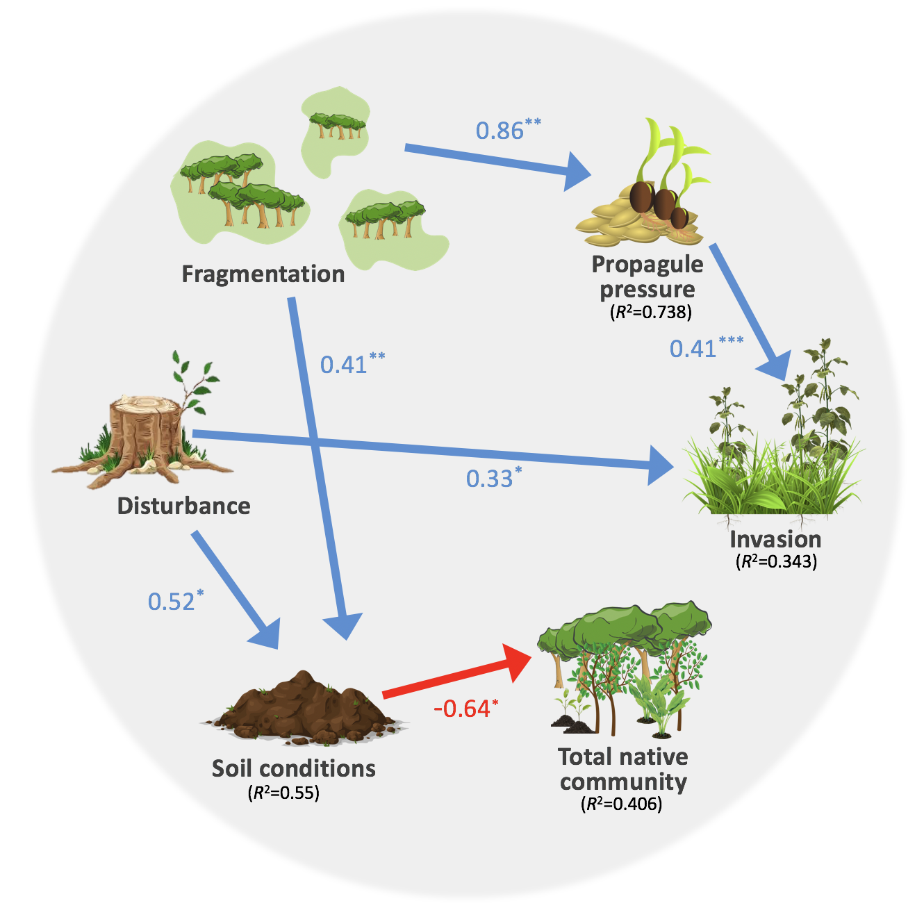 Emily Waddell on Twitter: emily-waddell-on-twitter-first-paper-from-my-phd-shows-that-plant-invasion-in-tropical-rainforest-remnants-is-driven-by-greater-landscape-fragmentation-and-local-disturbance-dchap79-l-banin-janehillyork-markhughesis-uk-ceh