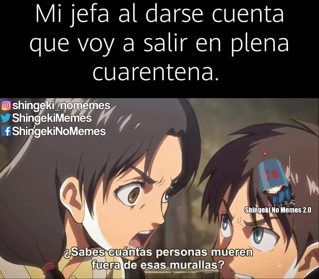 Alla Voy Memes Oigan ¿Y Cómo Son Sus Michis Con Ustedes?