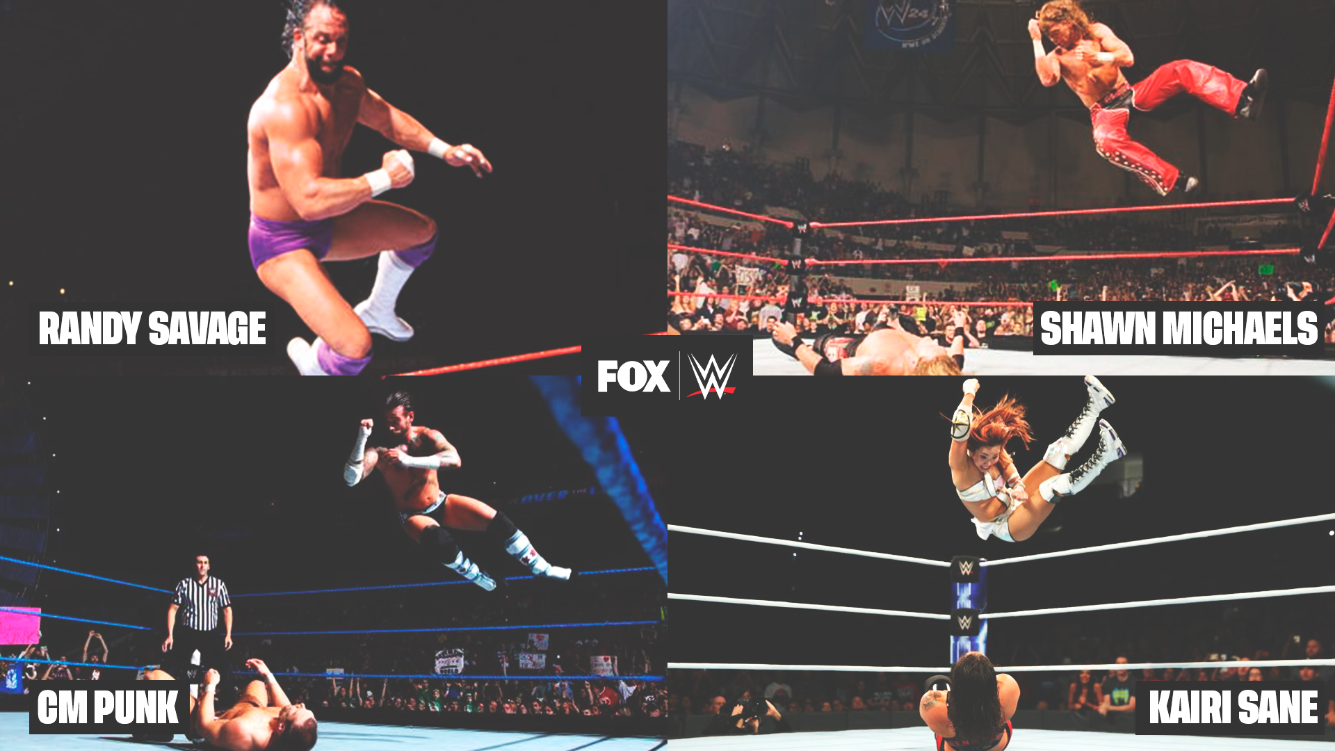 Randy Savage Top Rope