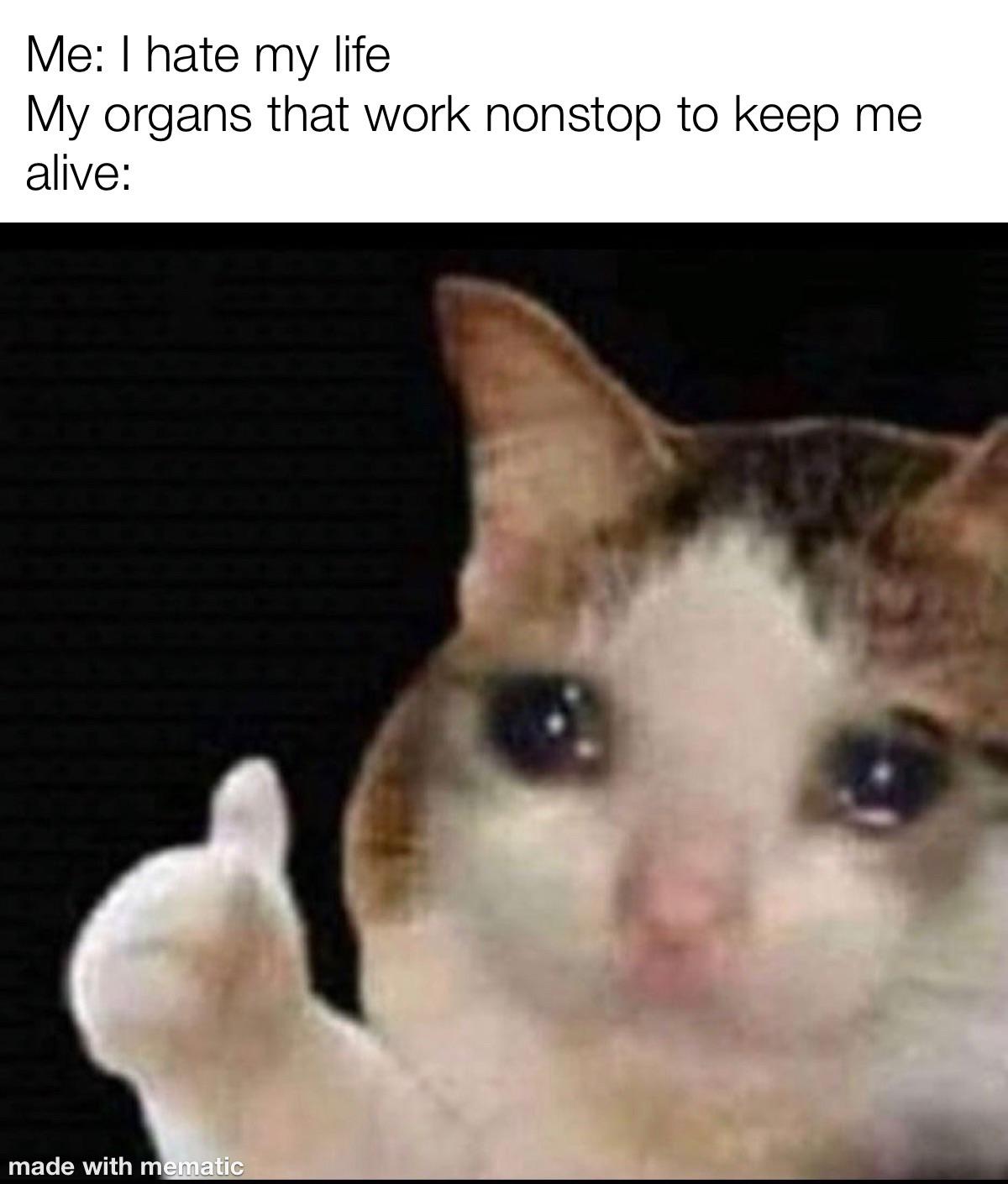 Respiratory System Memes Human Respiratory System Lungs Anatomy Stock