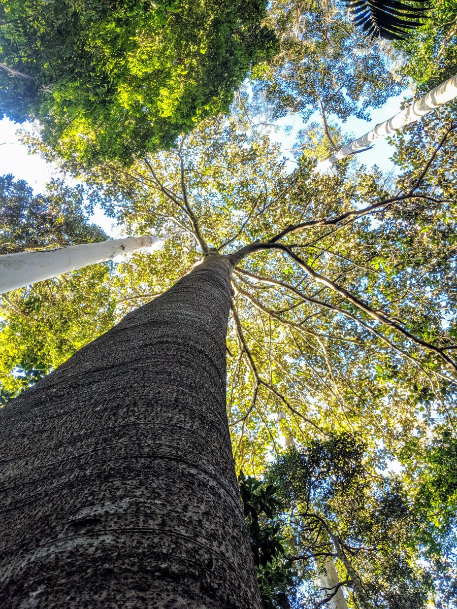 Home - City of Burnside