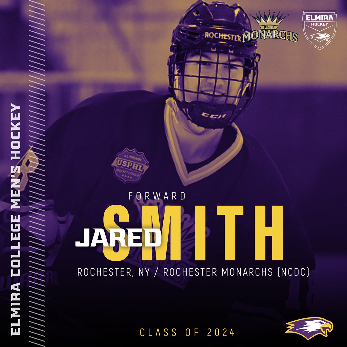 Rochester Monarchs Youth Hockey