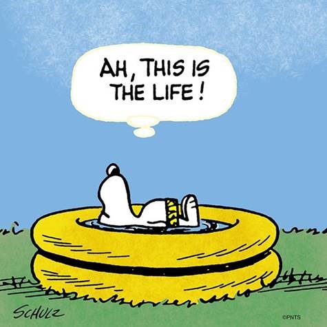Stay Cool Snoopy
