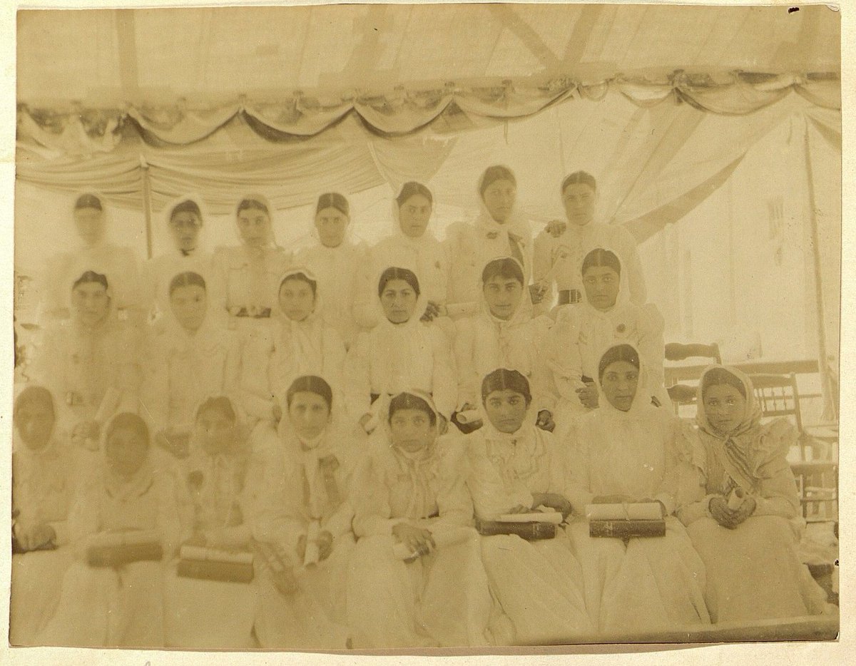 Fidelia fiske - grupoaso