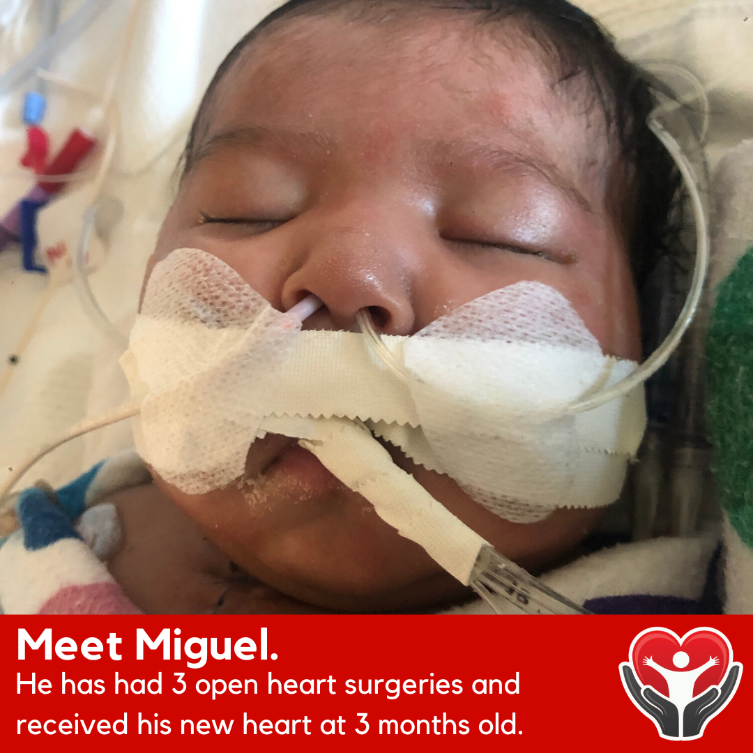 Enduring Hearts | Helping Hearts