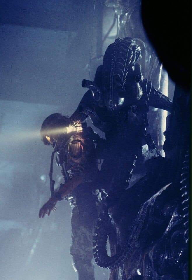 Suggestion: Make Drones Drag Players away. ______ [ALIENS](https://pbs ...