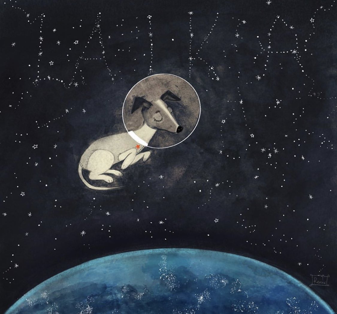 Space Doge Wallpaper