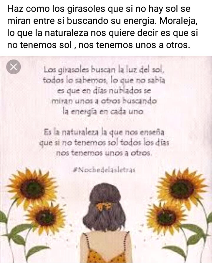 Enfriarse es bonito Soportar girasoles mirandose entre si Interactuar ...