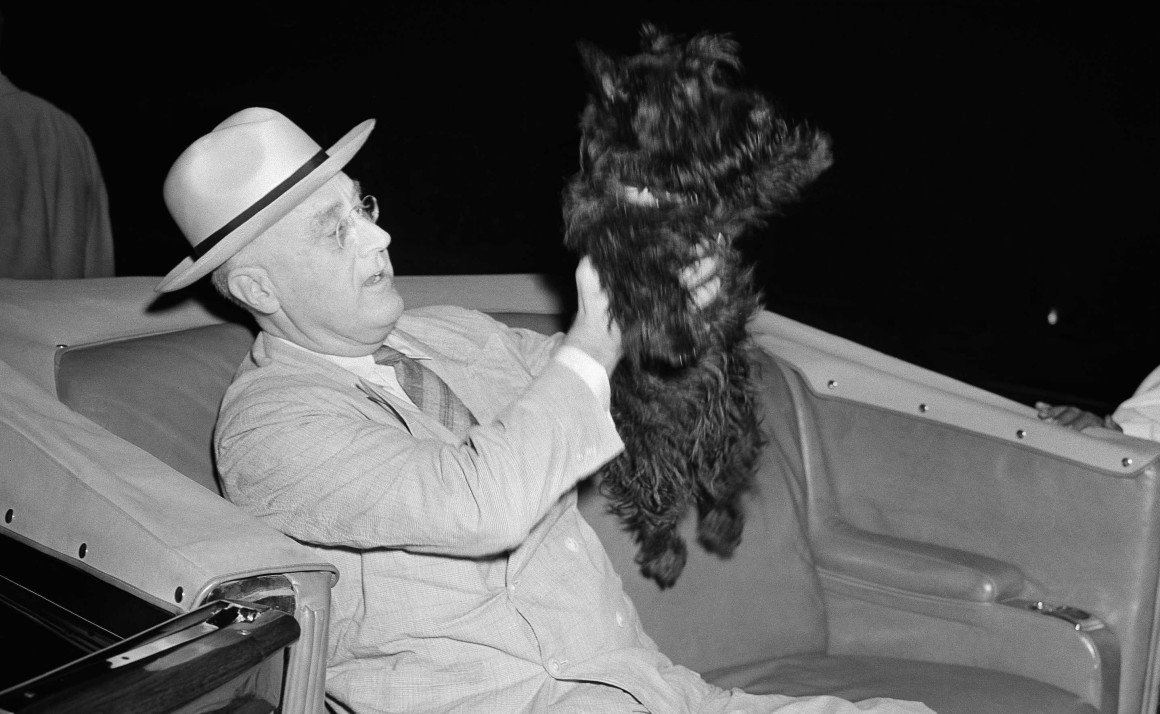 John Adams had a dog named Satan (rather devilish, that Adams), but no ...