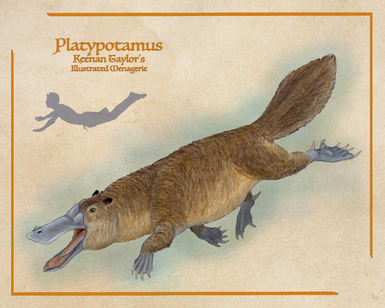 Prehistoric Monotremes