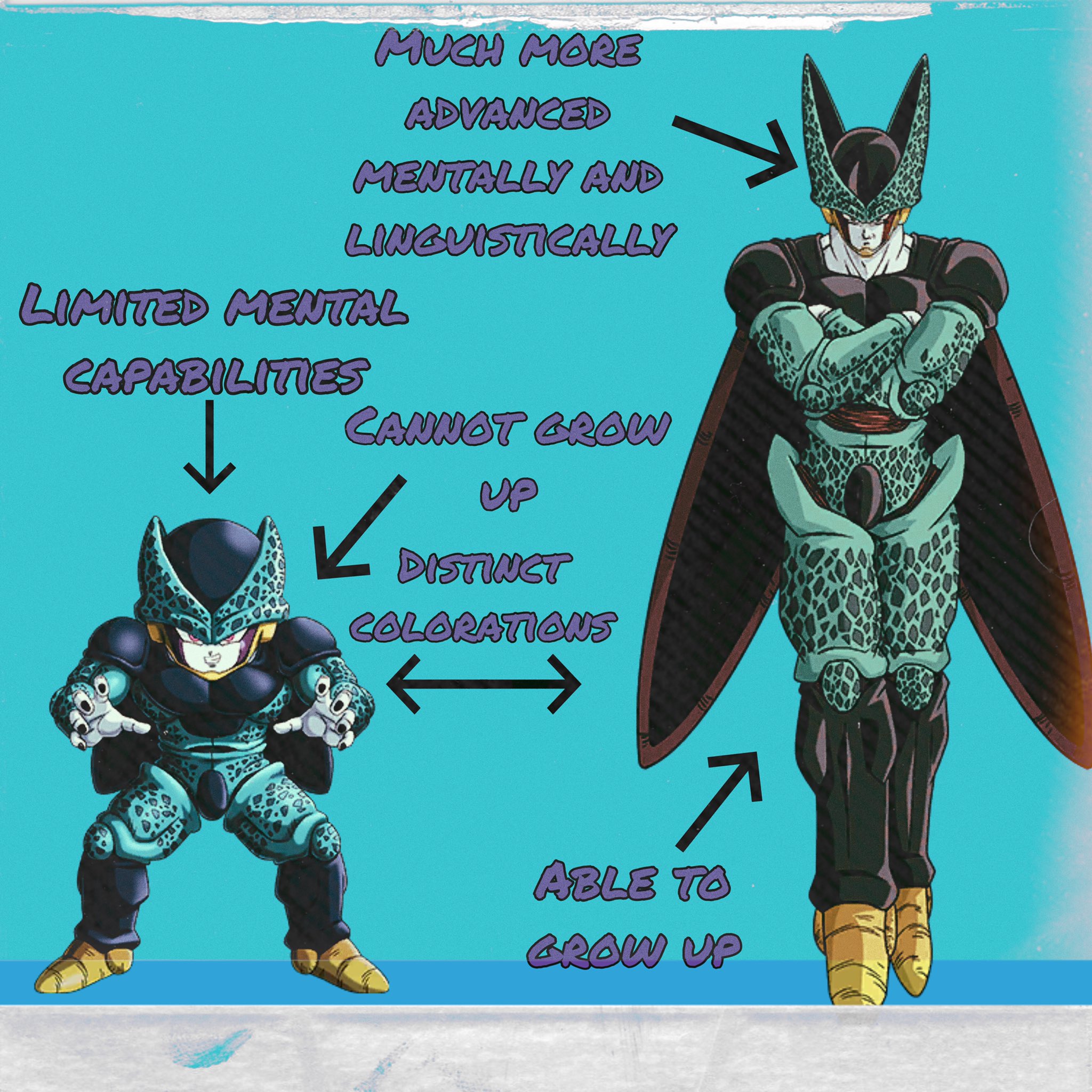 Semi Perfect Cell Jr