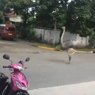 Jhena Tori 💜 (@jenny_toriano) | Twitter